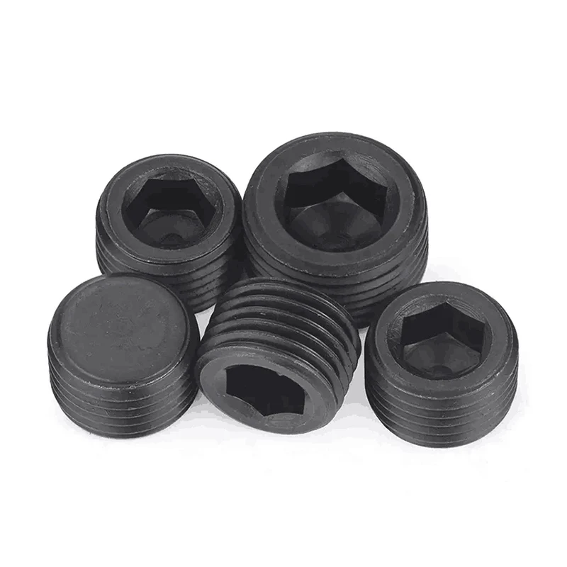 Metric Socket Pipe Plugs