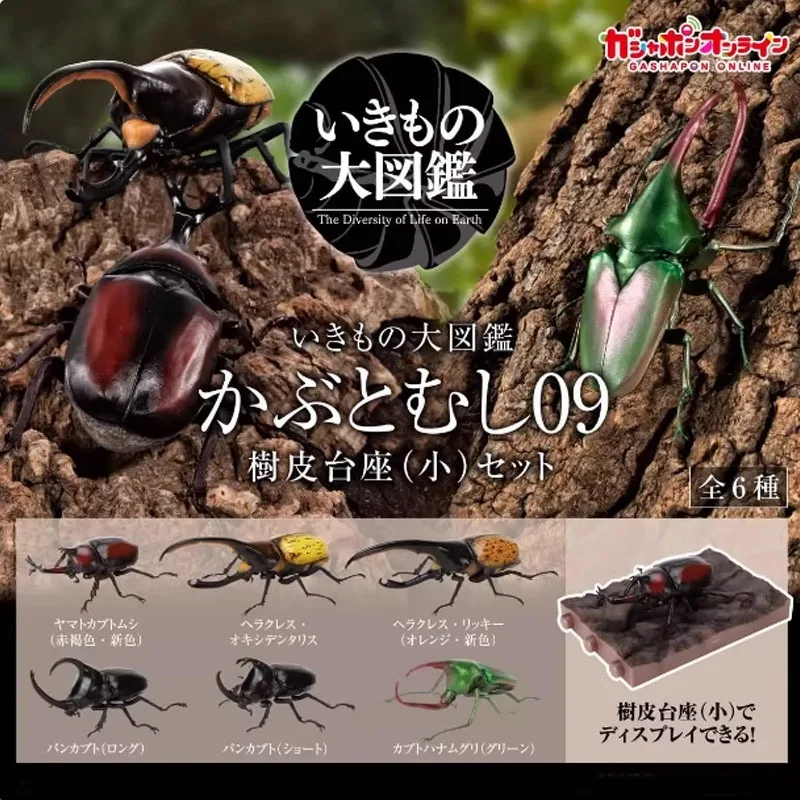 Bandai Original Biological Encyclopedia Gashapon Toys Beetle Series 09 ...