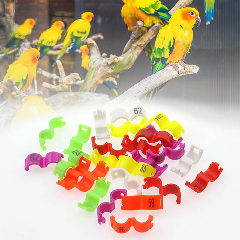 10Pcs-Bird-Pigeon-Quail-Foot-Rings-Small-Parrot-Leg-Rings-With-Number ...
