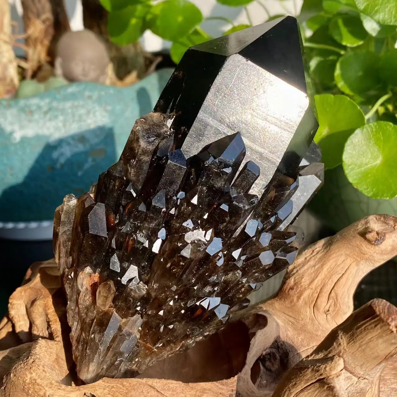Smoky Quartz Cluster