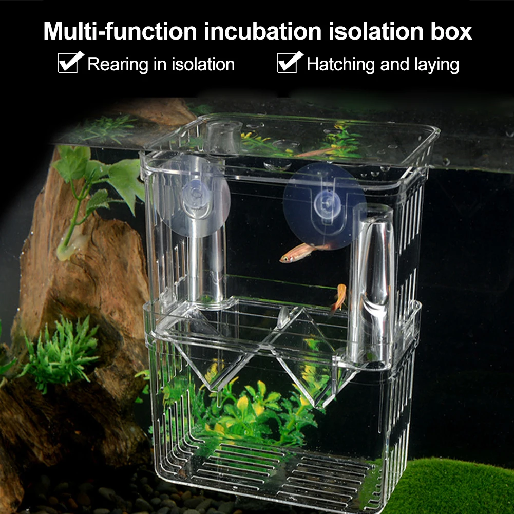 3Types-Acrylic-Clear-Fish-Breeding-Isolation-Box-Betta-Fish-Aquarium ...