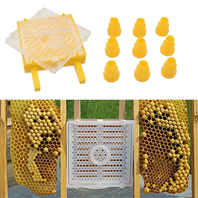 Complete-Bee-King-Rearing-System-Kit-Queen-Cell-Cup-Holder-Easy-To ...