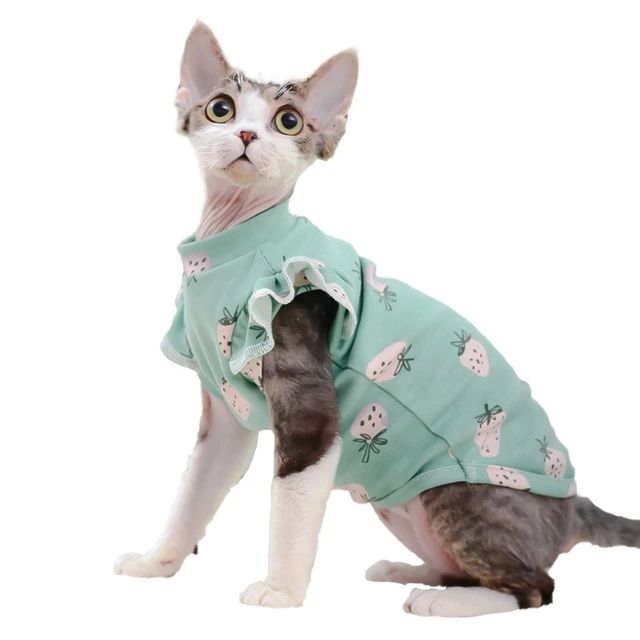 Tatty Sphynx Cat Clothes