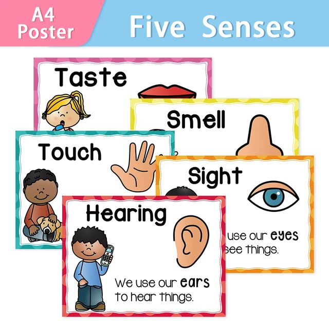 5 Senses Chart For Kindergarten