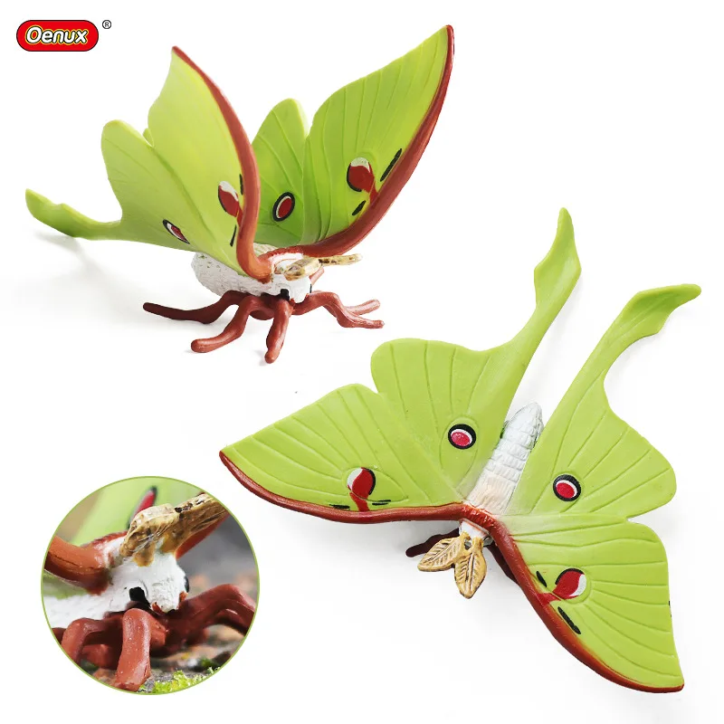 10CM Simulation insect Animal model Luna moth Samia cynthia Action ...