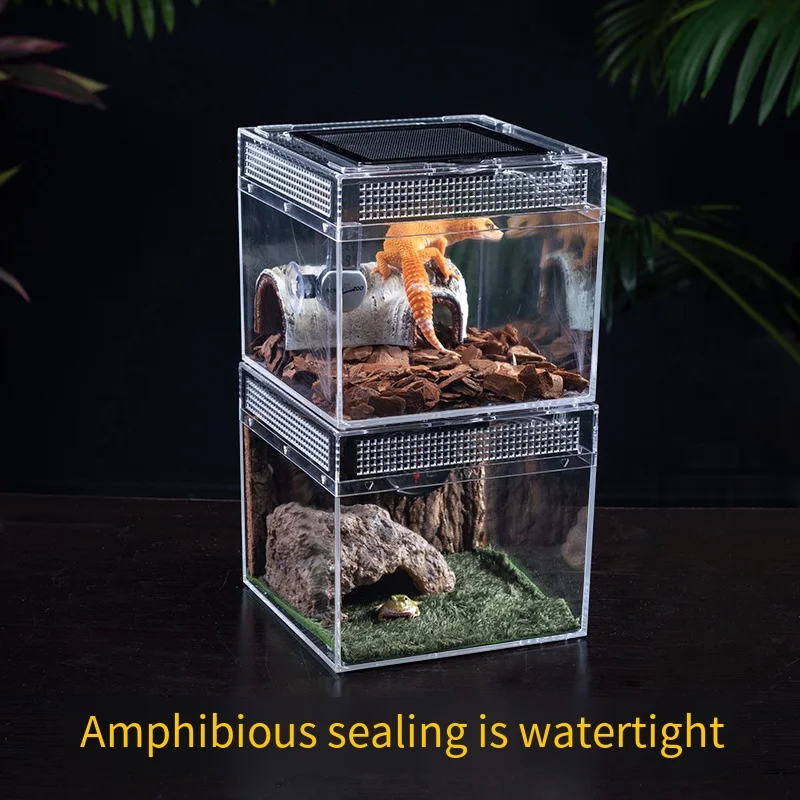 Pet Chameleon Tank