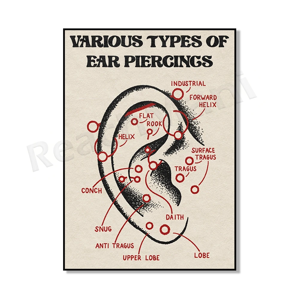 The Ultimate Piercing Size Guide: Types, Sizes, And Fitting, 54% OFF