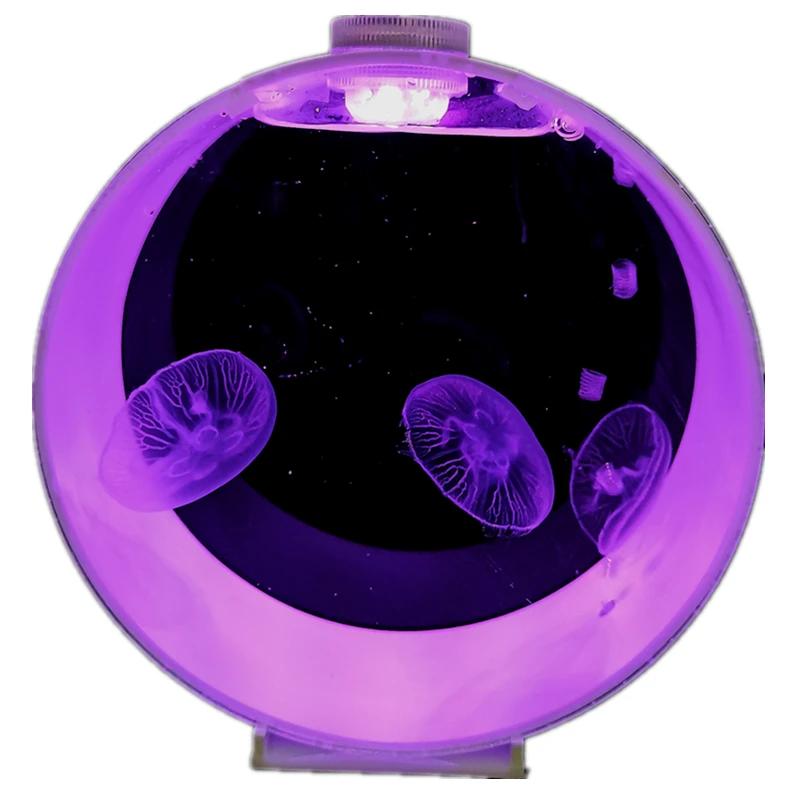 Pet Moon Jellyfish