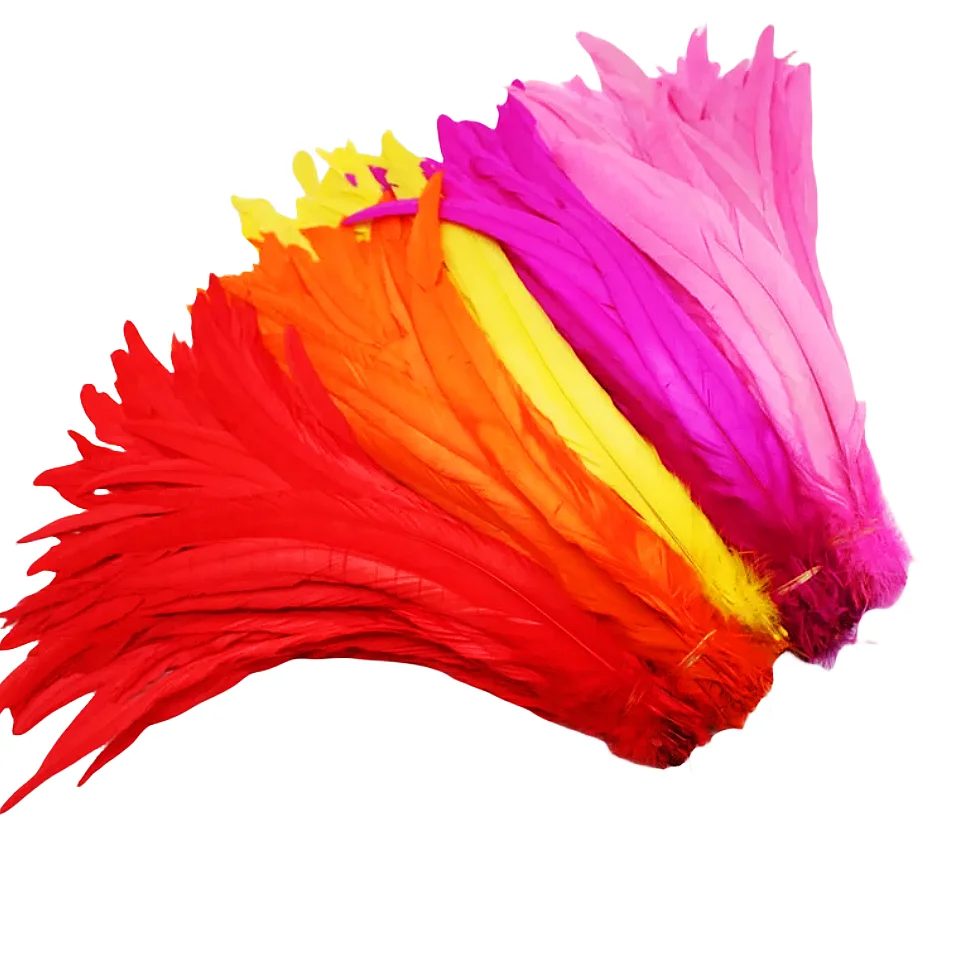 Beatiful-50pcs-Natural-Cock-Tail-Feathers-25-40cm-10-16inch-Clothing ...