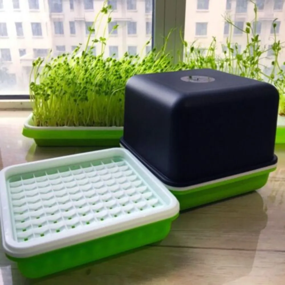 Plastic-Hydroponic-Sprout-Planting-Box-Peanut-Bean-Sprout-Pot-Household ...