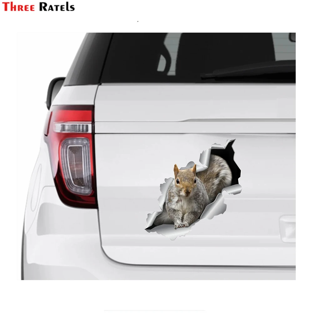 Three-Ratels-I540-Squirrel-sticker-Squirrel-car-sticker-Funny-car-decal ...