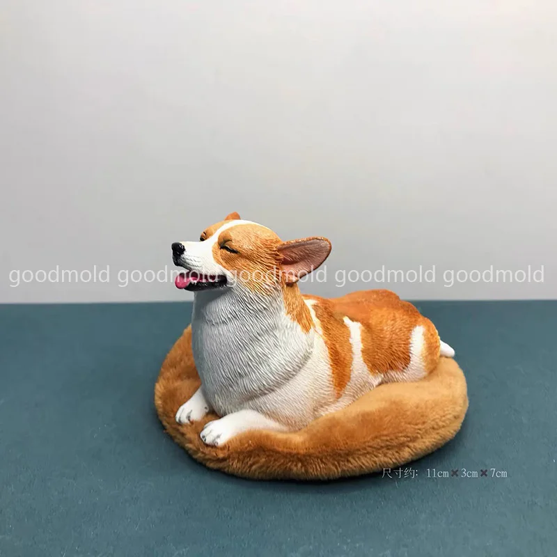 Excited Corgi
