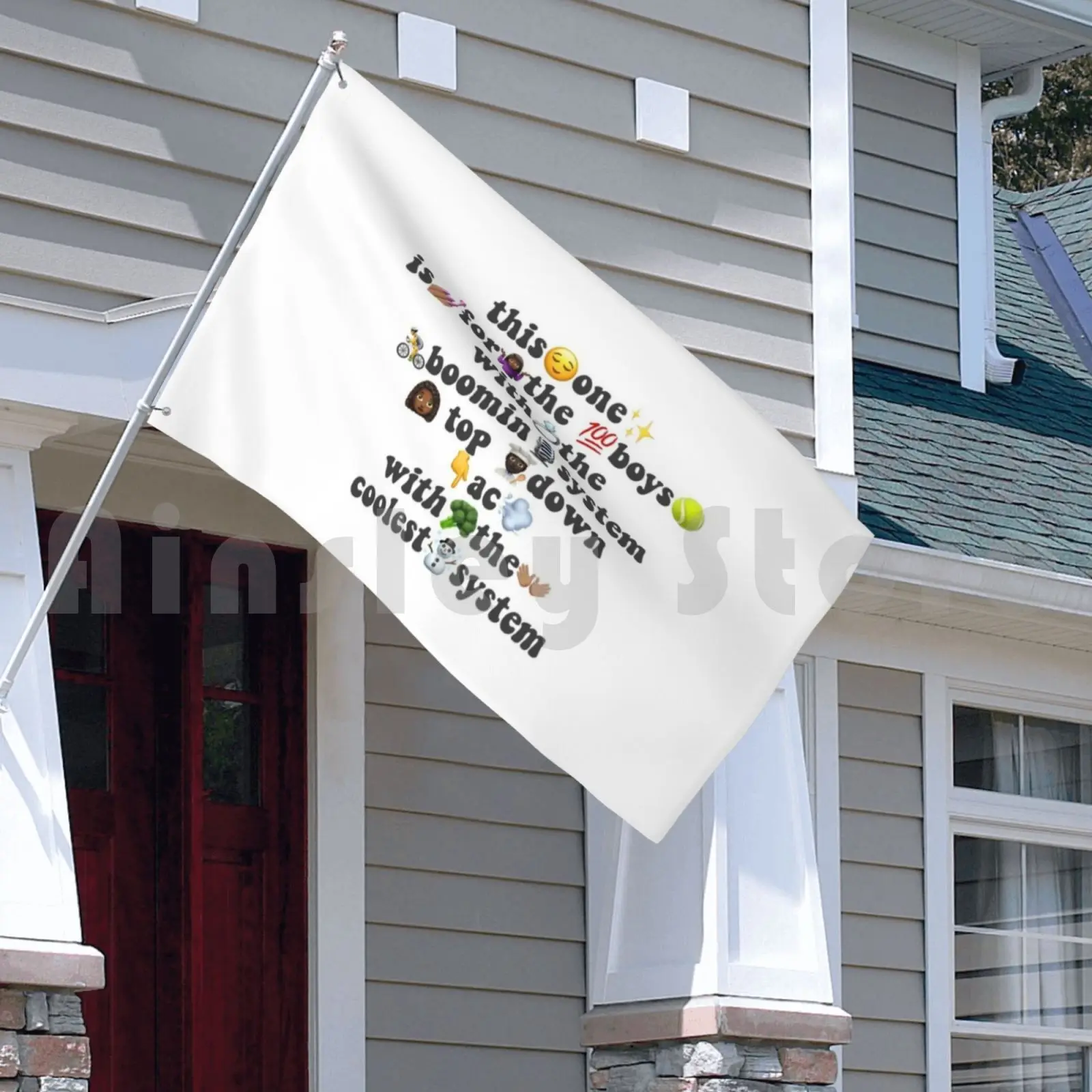 Nicki Minaj Car And House