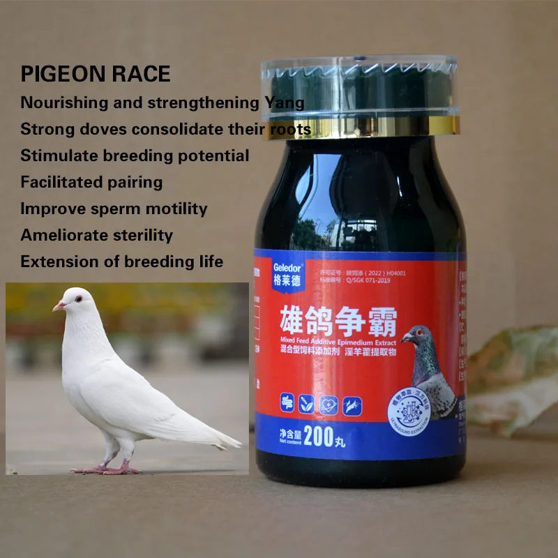 Male-breeding-pigeon-special-nourishing-Zhuang-Yang-strong-pigeon-Guben ...