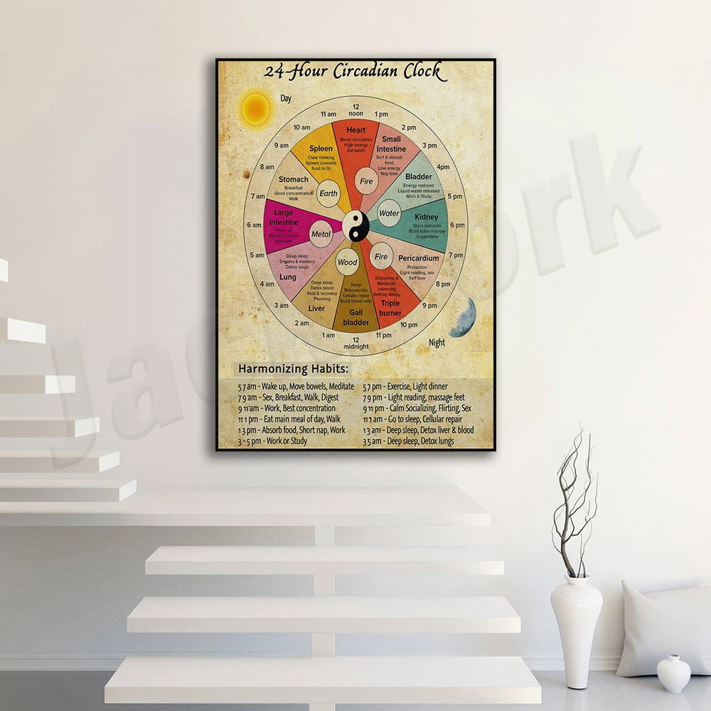 Hd-Print-Poster-Home-Decor-24-Hour-Circadian-Clock-Organ-Clock-Picture ...