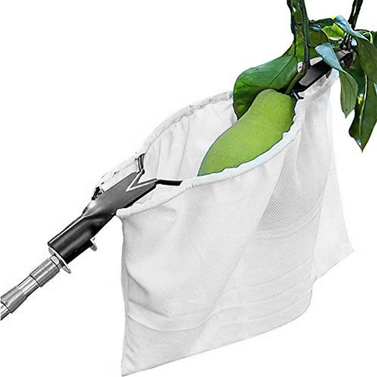 Metal-Fruit-Picker-Orchard-Gardening-Apple-Peach-High-Tree-Picking-Tool ...