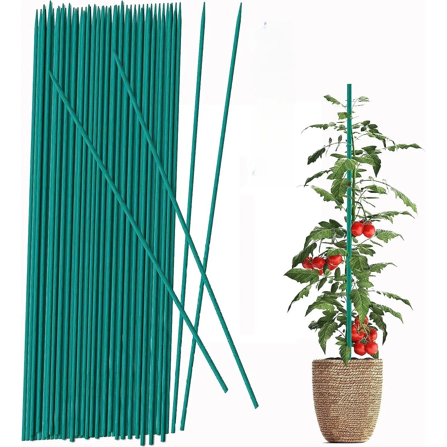 25pcs-Bamboo-Plant-Stakes-Plant-Sticks-Support-Floral-Plant-Support ...