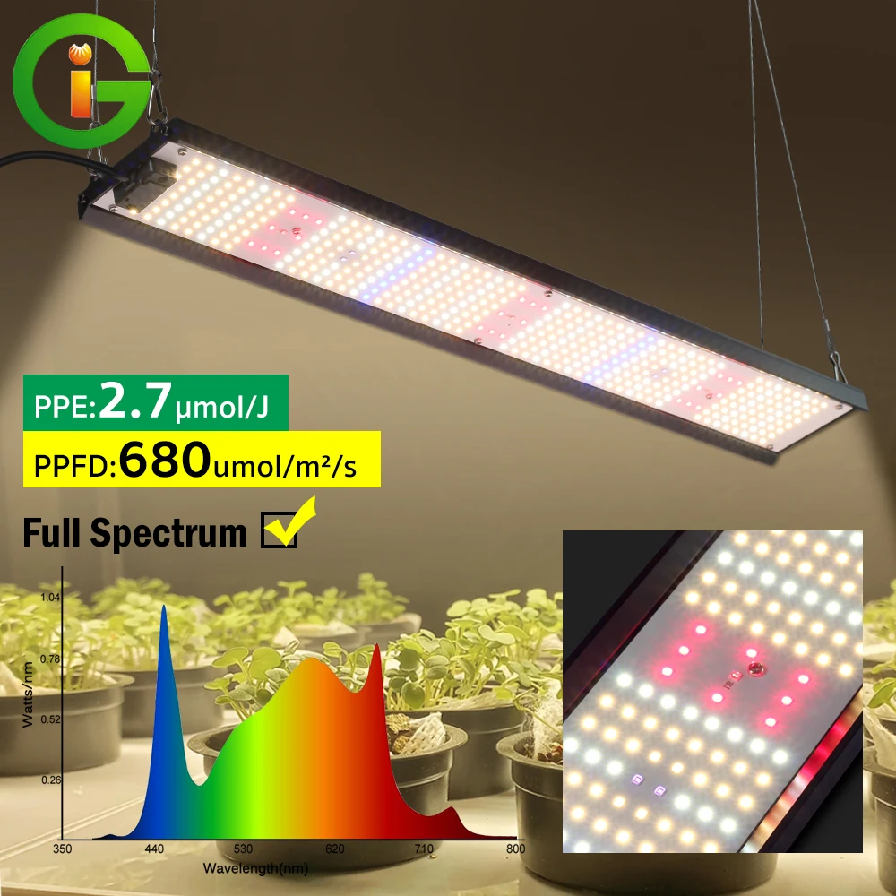 Best LED Grow Light for Seedling Cultivation: Real-World Performance ...
