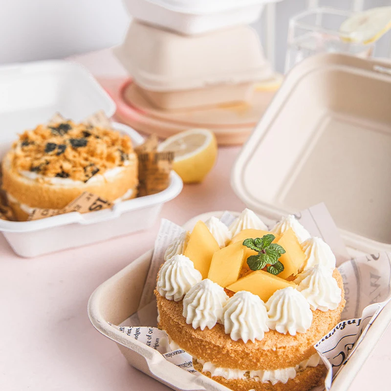 10PCS-Disposable-Biodegradable-6-Inch-Hamburger-Box-Bento-Lunch-Box ...