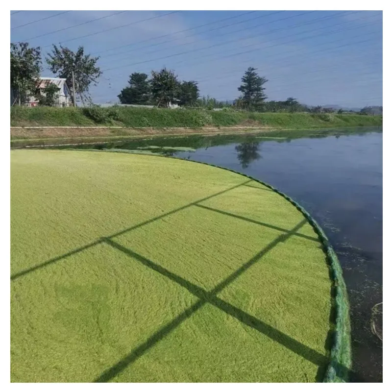 Clean-up-the-river-surface-garbage-duckweed-leaves-floating-debris ...