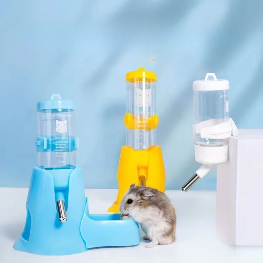 Everything You Need to Know About Hamster Plates for Small Pets