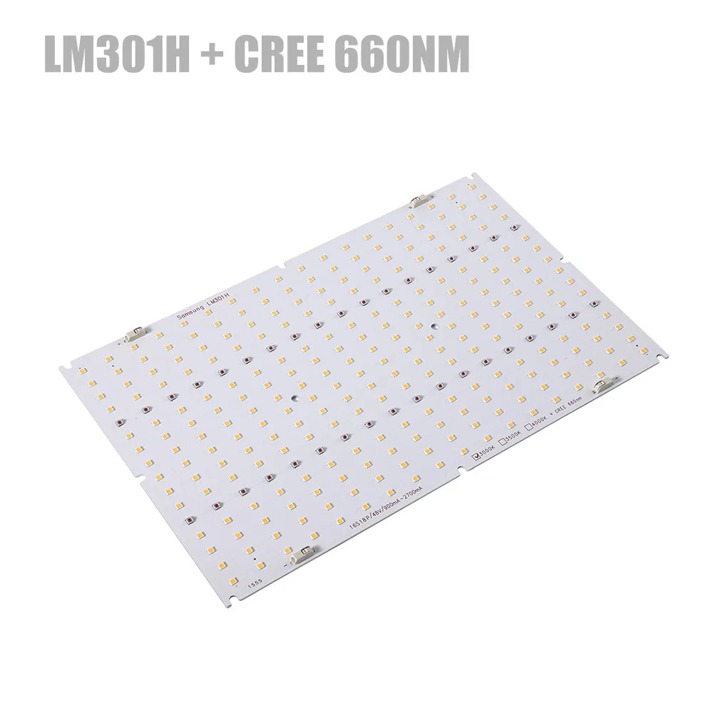 Store Home Products Summer Sale Feedback