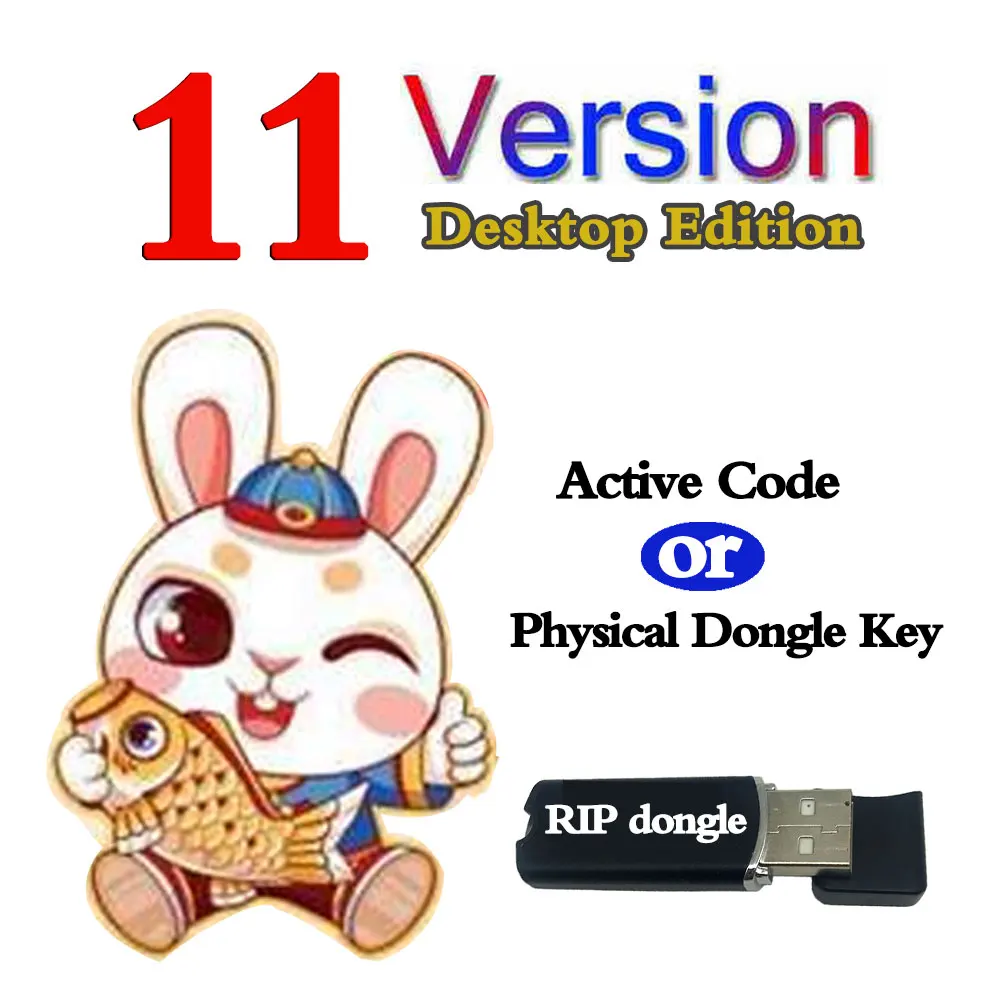 DTF-RIP-DTG-UV-Software-Ver-11-Desktop-Edition-Dongle-Key-For-Epson ...