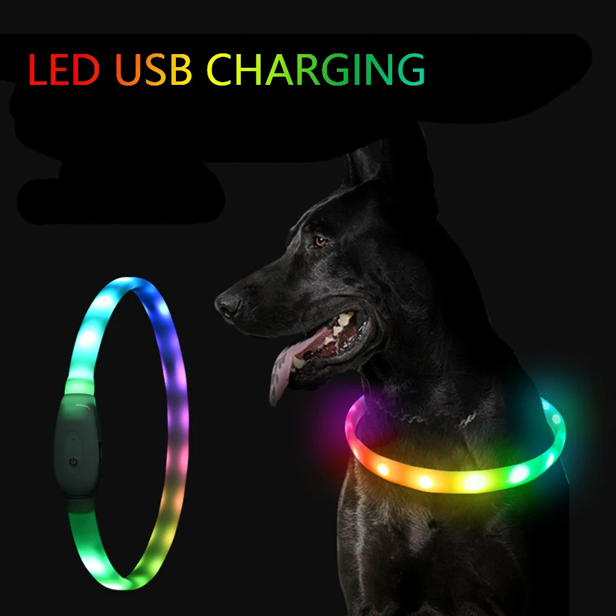 Led-Light-Dog-Collar-Detachable-Glowing-USB-Charging-Luminous-Leash-for ...