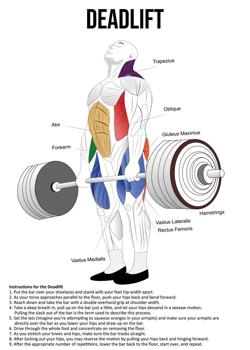Weight Lifting Exercise Diagrams