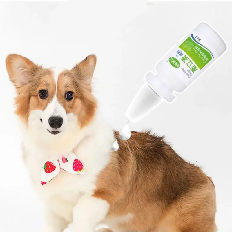 Pet Dog Cat Anti-flea Drop Insecticide Flea Lice Insect Killer Liquid ...