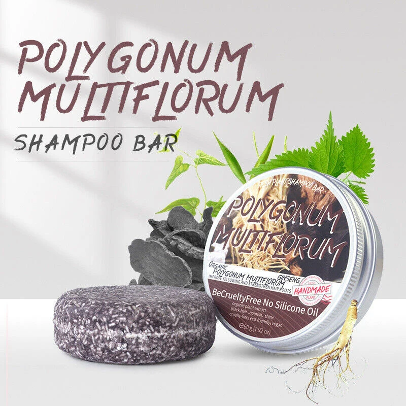 Polygonum-Barra-de-champ-Multiflorum-producto-nutritivo-para-el-cuidado ...