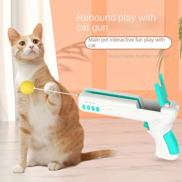 Funny Pics Of Cats With Guns And Captions