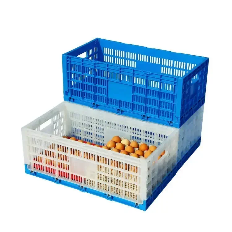 1xPlastic Egg Crate+8xEgg Holder Stackable 30 Hole Movable Plastic ...