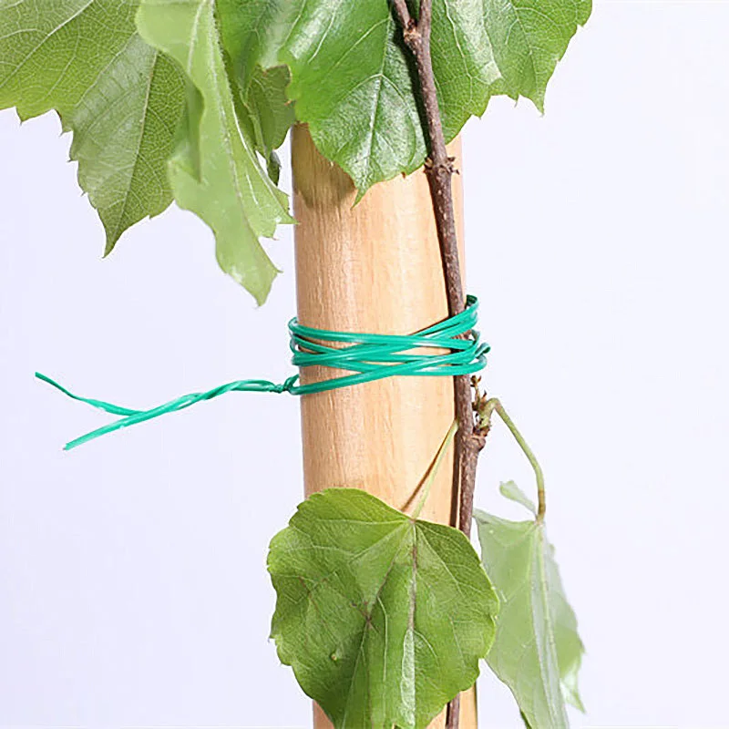 Tuteur - lien - attache,Fil torsadé de vigne pour plante verte ...