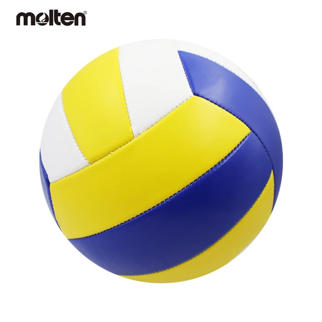 Pig With Molten Volleyball