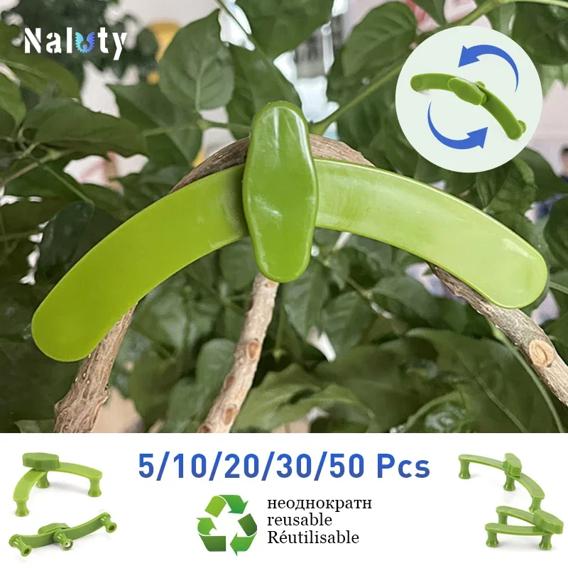 5-50pcs-Adjustable-Plant-Branch-Bending-Holder-Reusable-Branch-Puller ...