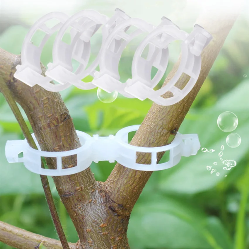 50Pcs Reusable Plastic Plant Clips Supports Connects Protection ...
