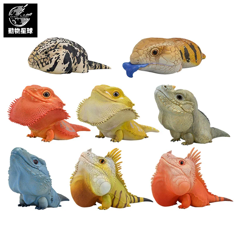 Animal-Planet-SERIES-DE-LAUGH-Y-GROW-FAT-16-Iguana-Iguana-Cyclura ...