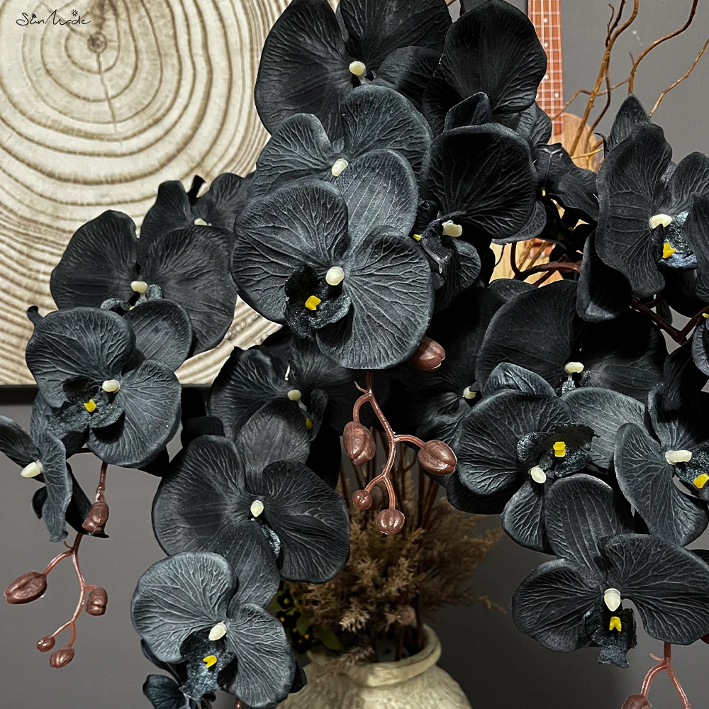 Black Orchid Plant