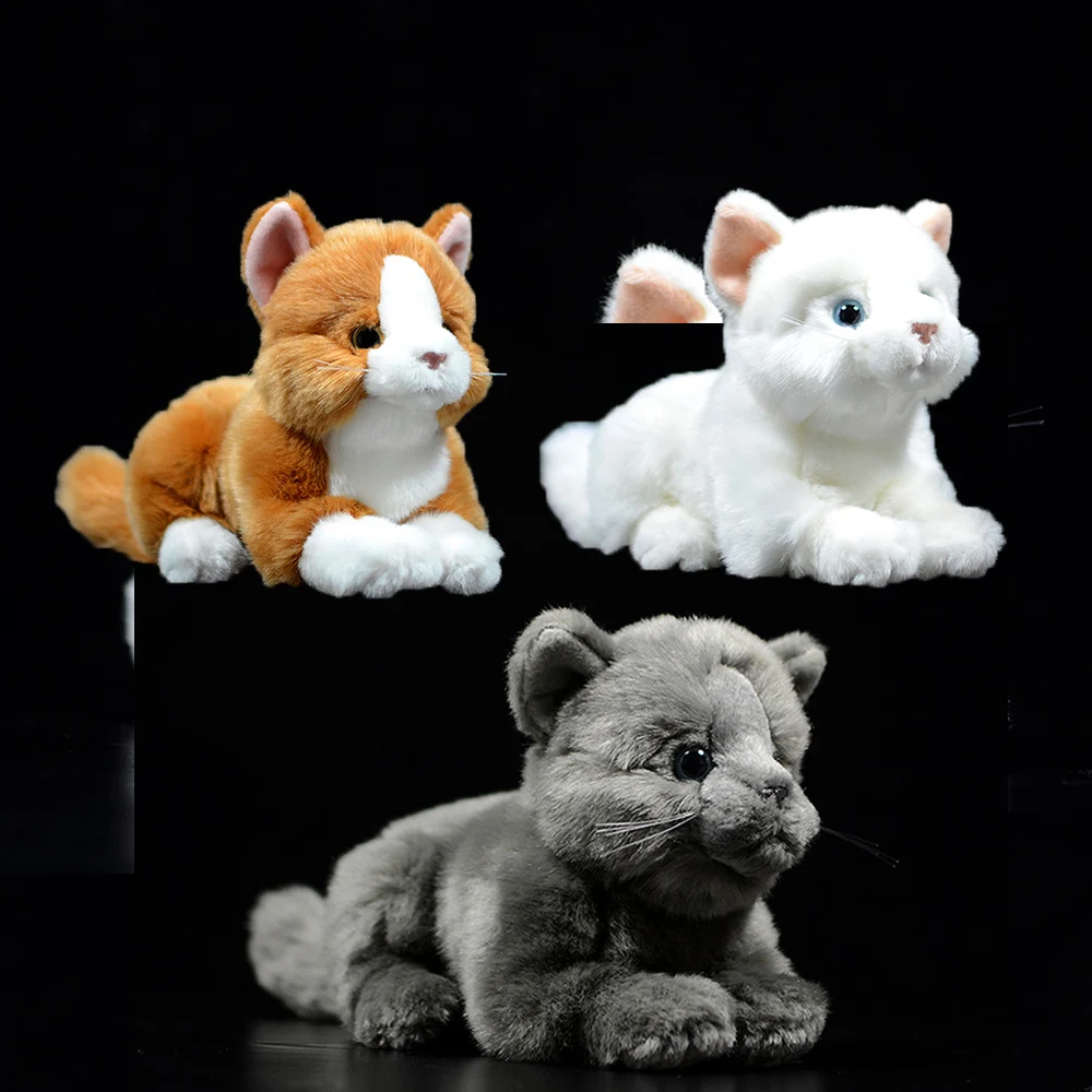 Simulation-Super-Cute-British-Shorthair-Cat-Tabby-Felinae-Stuffed-Soft ...