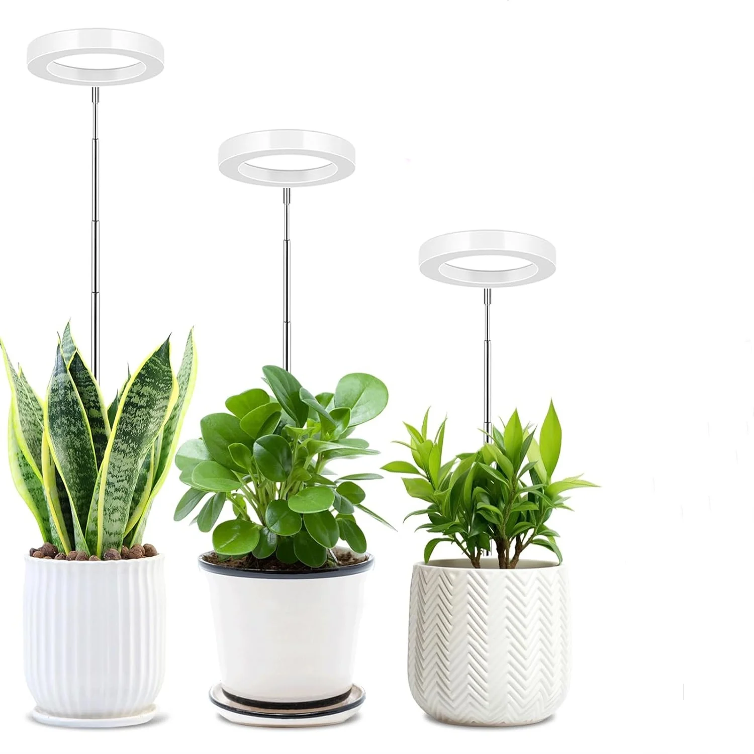 USB Angel Ring Grow Light Phytolamp for Plants with Control Full ...