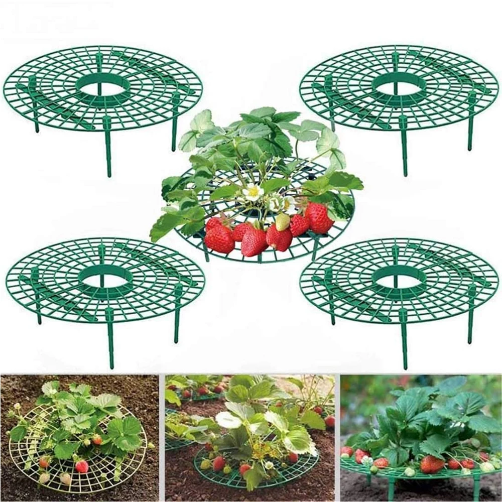 10Pcs-Strawberry-Plant-Supports-Strawberries-Growing-Racks-Frame-for ...