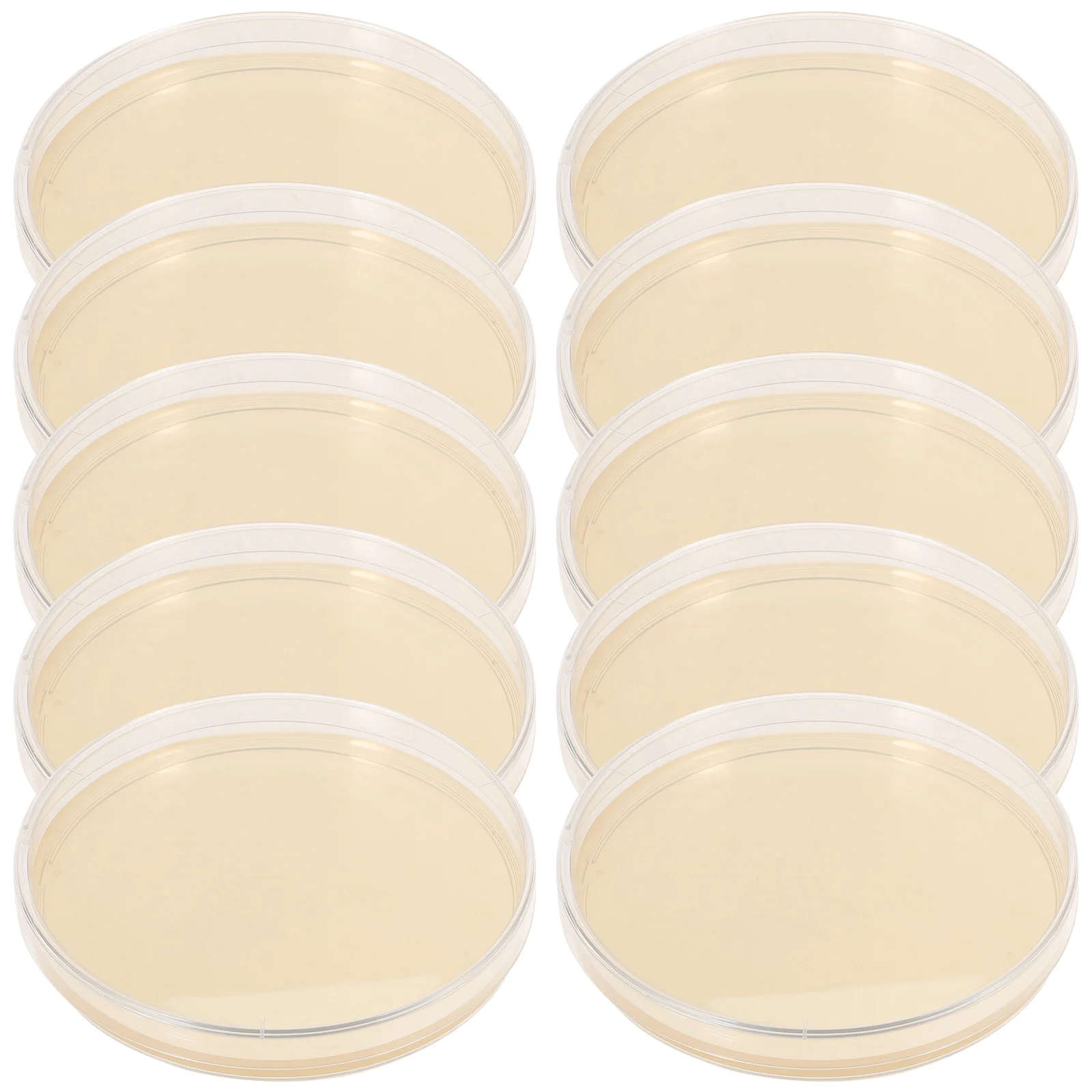 Prepainted-Agar-Placas-Petri-Pratos-Cultura-Tissue-Plate-Laborat-rio ...