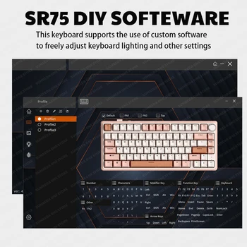 Royal Kludge RK R75 SR75 Gaming Mechanical Keyboard 81Key Bluetooth ...