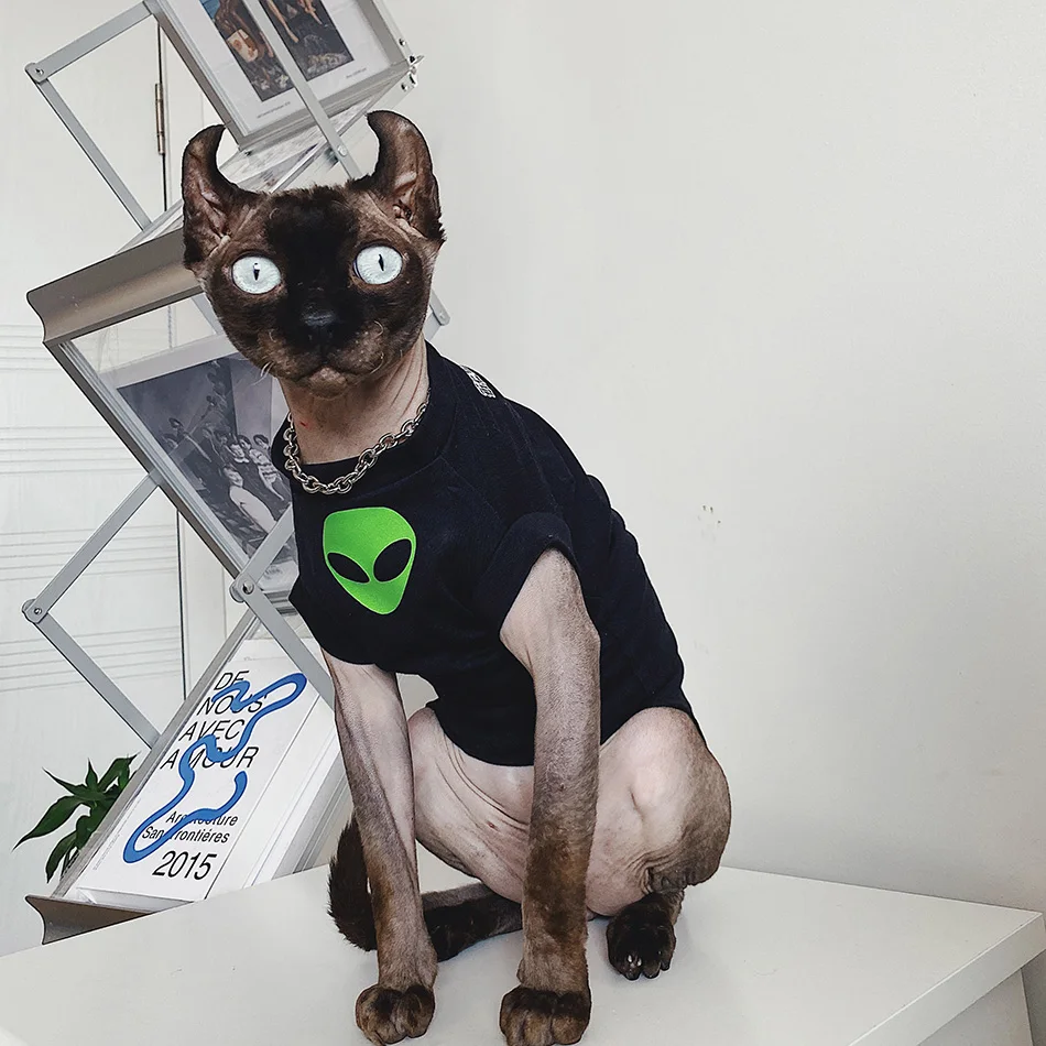 Alien Kat Alien Kat Itch.io