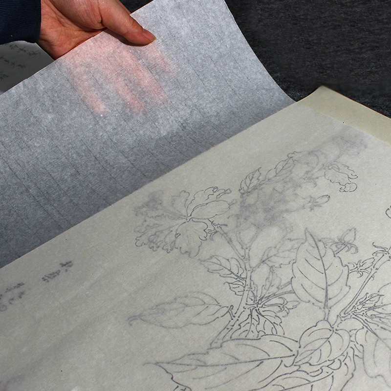 Mica-Ripe-Xuan-Paper-Ultra-Thin-Cicada-Wing-Rice-Paper-Papel-Arroz ...