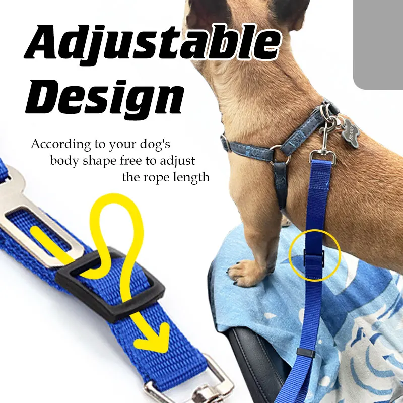 Dog Body Harness