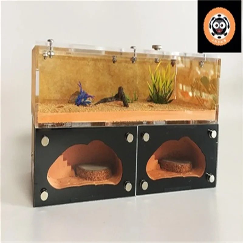Double-nest-room-one-bedroom-double-water-tower-ant-nest-ant-castle ...