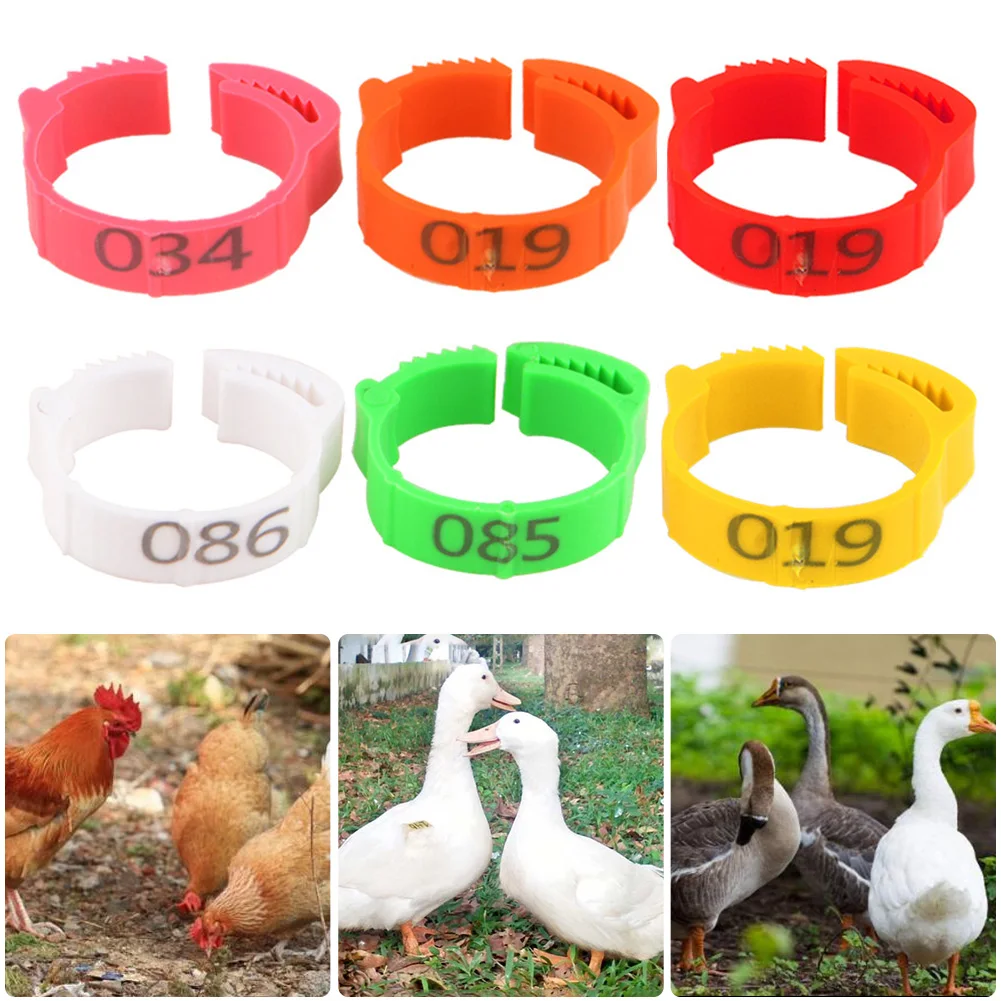 100PCS-Chicken-Foot-Ring-Marker-Adjustable-Size-1-100-Number-Poultry ...