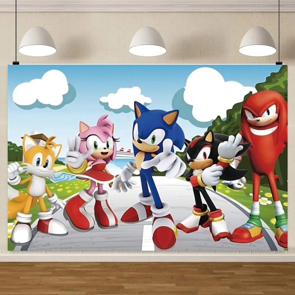 Fondo fotográfico de Sonic The Hedgehog, Rosy The Rascal, suministros ...